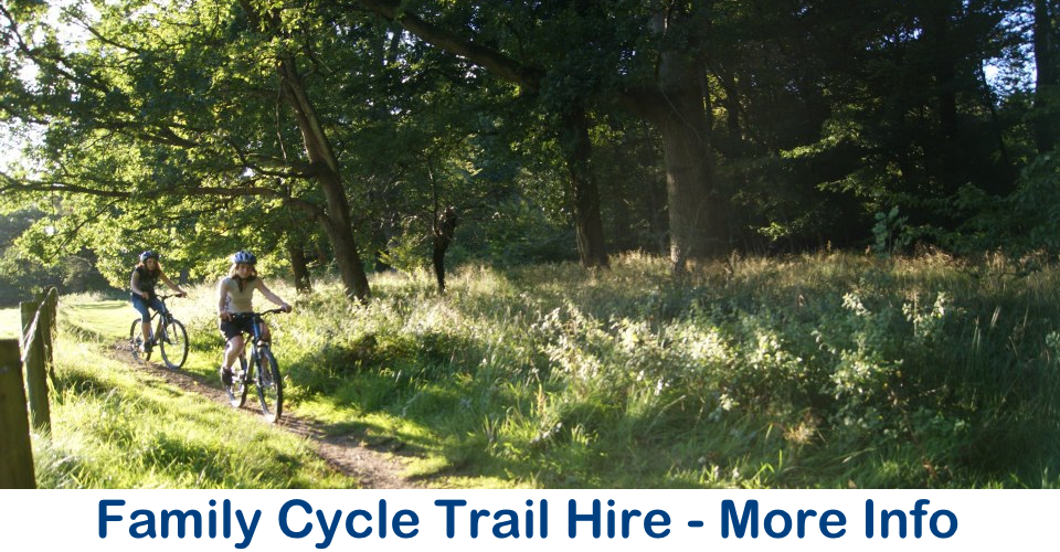 Dean Forest Cycles - Cycle Hire - Mountain Bike Hire - Cafe - Shop ...